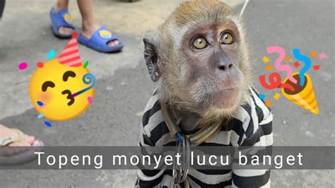 Topeng Monyet Lucu Banget Bikin Ketawa Ngakak 😆 Youtube