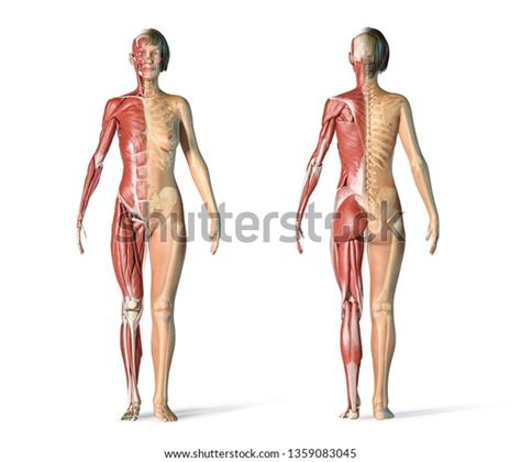 Naked Woman Front Real Images Stock Photos Vectors Shutterstock