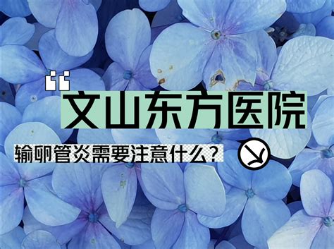 文山东方医院输卵管炎需要注意什么？ 哔哩哔哩