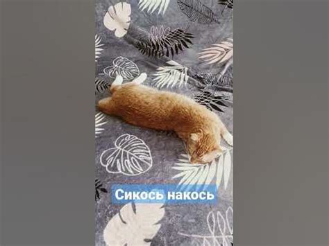 сикось накось😄 - YouTube