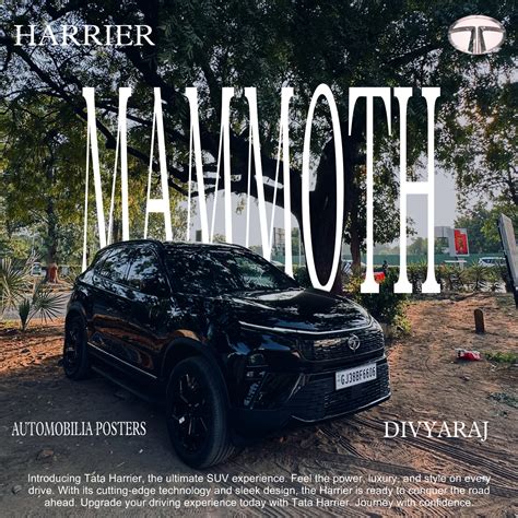 Divyarajsinh Jadeja Divyarajsinh2699 • Instagram Photos And Videos