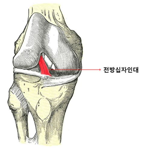 마디사랑병원 Community Blog