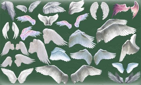 92 Angel Wings Overlays Angel Feather Wings Realistic Wings Wings For