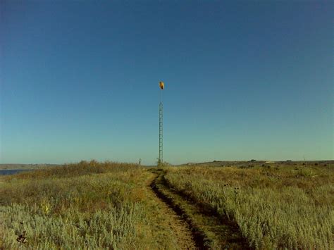 Switchgrass Photos