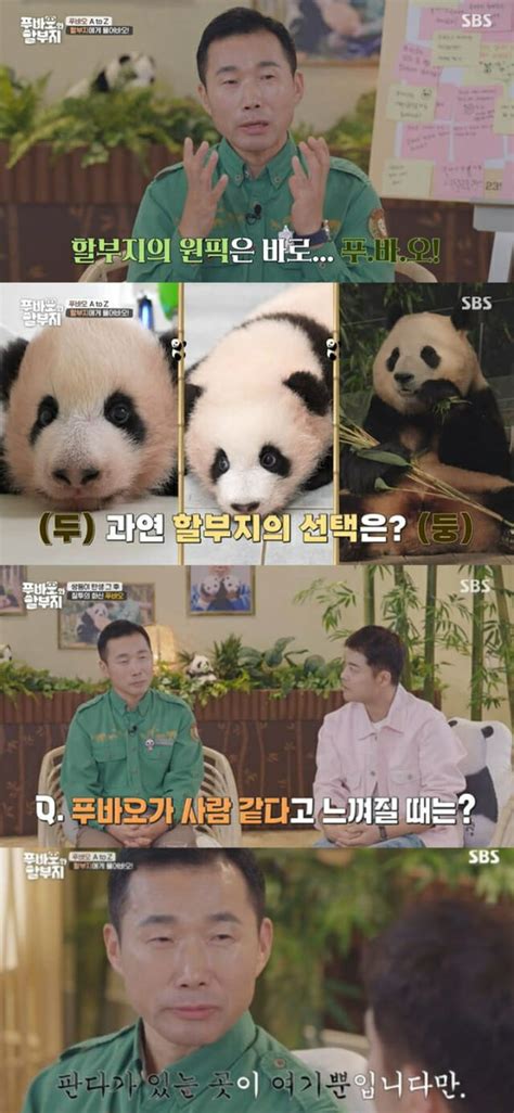 강철원 사육사 푸바오 태어난 후 연봉 많이 올라 Zdnet Korea