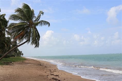 Praia Dos Carneiros Como Chegar O Que Fazer E Muito Mais