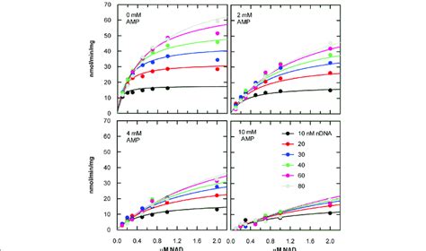 global non linear least squares fit of data from amp product inhibition