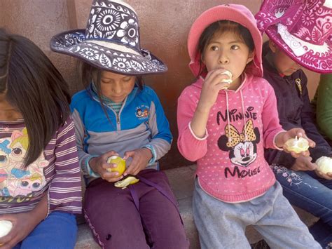 Promoción y Prevención de la Salud YANAPANAKUSUN