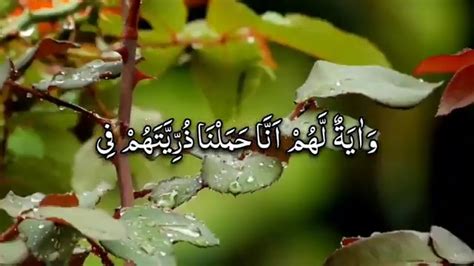 Surah Yaseen Ki Tilawat Ruku 3 Surah Yasin Arabic Text Hd Surah