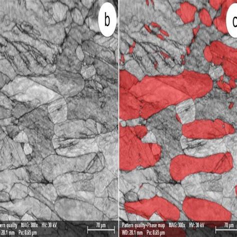 Sem Microstructure Analysis Of Sample Ii At 800° A The Phases Download Scientific Diagram