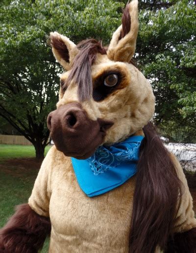 Post Heads And Tails Fursuits Tumblr Com Tumbex