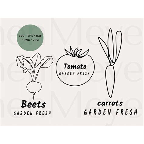 Vegetable Svg Bundle Carrot Svg Garden Svg Farm Svg Gard Inspire