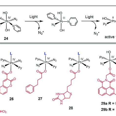 Light Responsive Ru Ii Prodrugs As Photosensitizers For Pdt Download Scientific Diagram