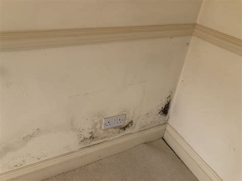 3 Ways To Stop Condensation On Walls In Winter