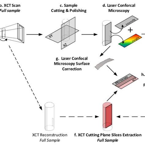 Overview Of The 2d 3d Registration Protocol Workflow For A Multimodal Download Scientific