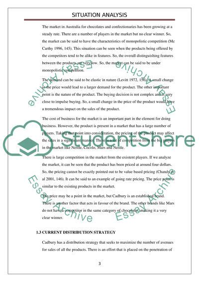 Situation Analysis And Target Market Identification Essay Example Topics And Well Written