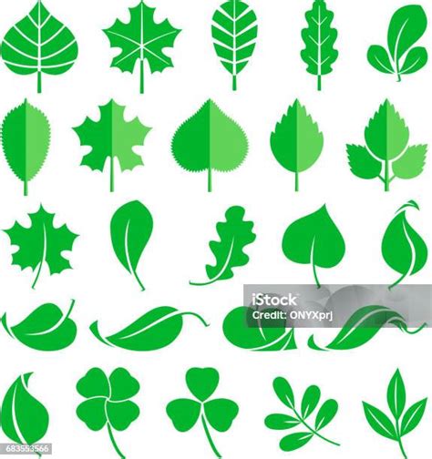 Menanam Tanaman Daun Dan Rumput Tunas Ilustrasi Vektor Dalam Gaya Datar