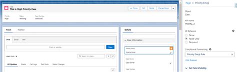 Enhance User Experience With Conditional Field Formatting In Salesforce