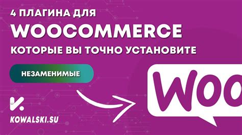 4 ПЛАГИНА для интернет магазина на Woocommerce Плагины для Wordpress