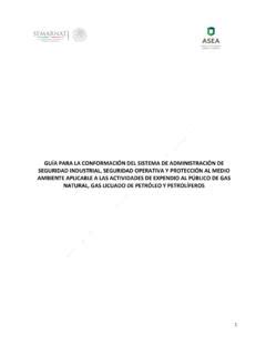 GUÍA PARA LA CONFORMACIÓN DEL SISTEMA DE gu 205 a para la