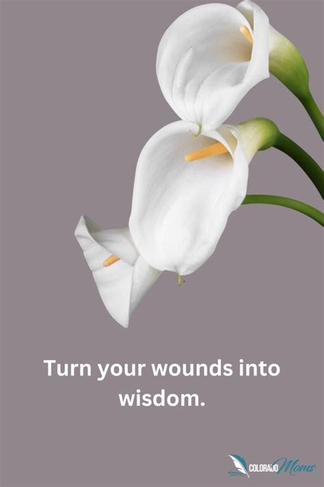 The Wisest Quotes On Wisdom Colorado Moms