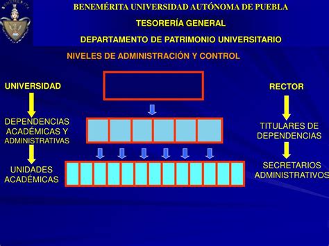 PPT PATRIMONIO UNIVERSITARIO Normatividad Y Niveles De Competencia PowerPoint Presentation