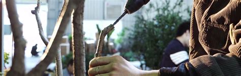 Largest Artificial Plant Manufacturer And Supplier In China Sharetrade