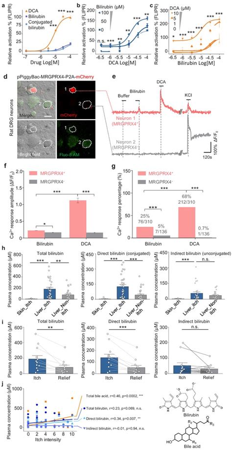 Figures And Data In Mrgprx4 Is A Bile Acid Receptor For Human