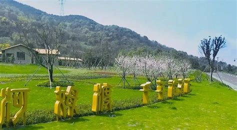 舟山马岙村：盘活古村资源 实现岛乡振兴海岛