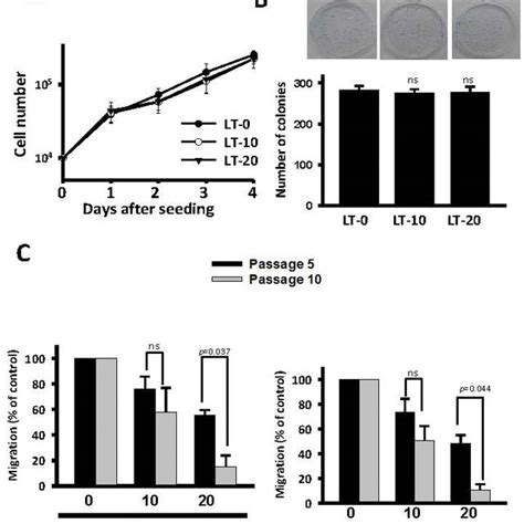 Apoptosis Assay Using Flow Cytometry After Staining With Annexin