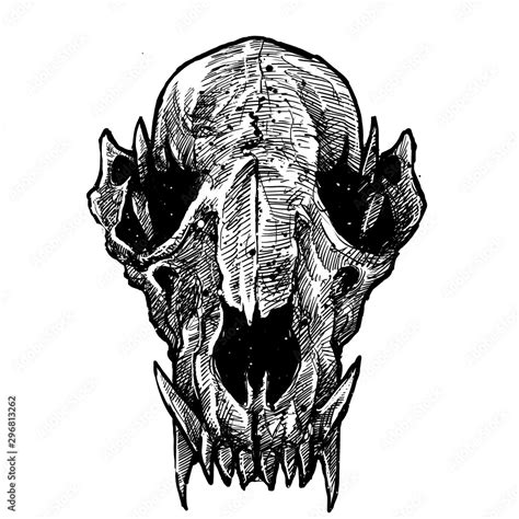Wolf Skull Drawing