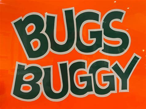 Bugs Buggy