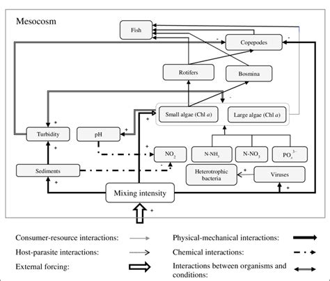 Synthetic Schema Of The Effects Of Mixing Based On Our Experimental