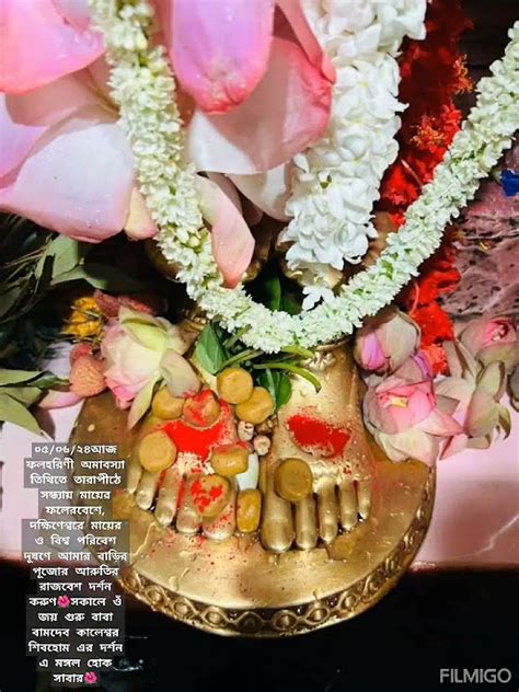 ওঁ রী৺রী৺তারা মা🌺বাম তারা শিব🪷 Youtube