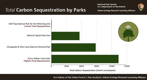 Carbon Storage By Urban Forests Us National Park Service
