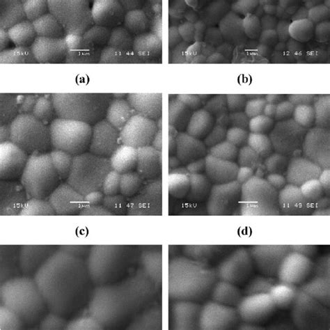 Sem Photographs Of The As Sintered At 1600°c For 3 H Surfaces Of Download Scientific Diagram