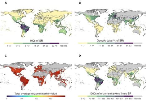 Global Pattern Of Woody Plant Species Richness And Genetic Diversity