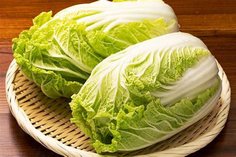 白菜の栄養と効能を徹底解説！効果的な食べ方やおすすめレシピ・選び方・保存方法も紹介｜prezoプレゾ 北海道のお取り寄せグルメと産直通販