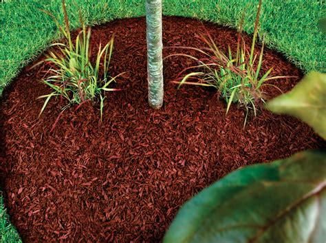Rubberific Tree Rings IMC Outdoor Living