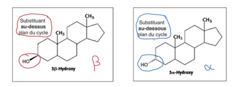 Stérols Alpha Beta Ue1 Biochimie Tutorat Associatif Toulousain