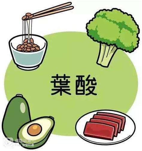 备孕期间，男人也需要补充叶酸，有这个必要吗？ 百度宝宝知道