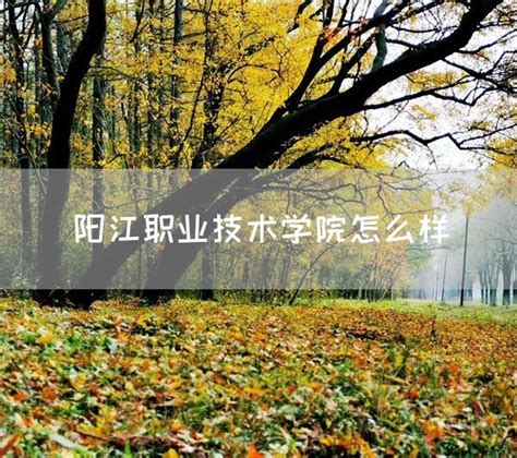 阳江职业技术学院怎么样234百科