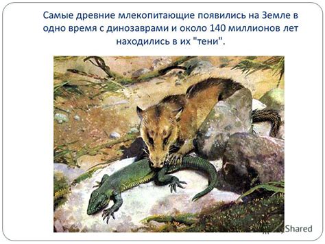 Презентация на тему Происхождение млекопитающих Млекопитающие