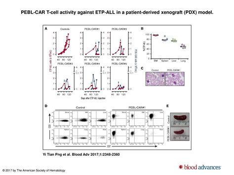 Blockade Of Cd Expression In T Cells For Effective Chimeric Antigen
