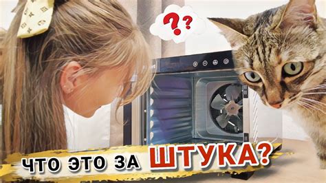 РАСПАКОВКА СУШИЛКИ Kitfort KT-1911 | В ШОКЕ от работников ЦОН-а | VLOG ...