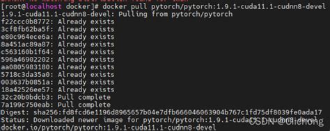 Docker 使用docker配置深度学习pytorch环境 阿里云开发者社区
