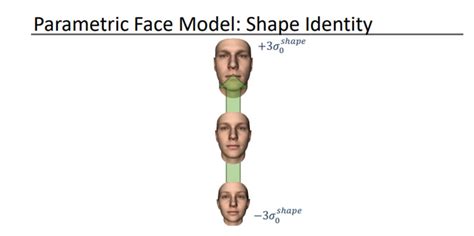 D Face Modeling D Scanning Motion Capture Parametric Face Models Master Data