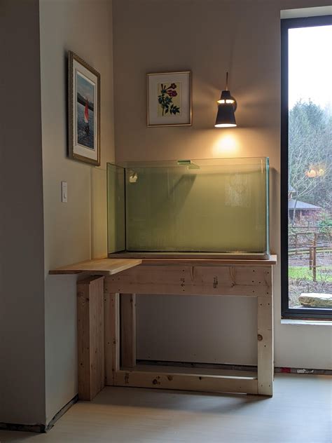 Osaka Is In But Its Chipped 😑 Am I Screwed R Aquarium