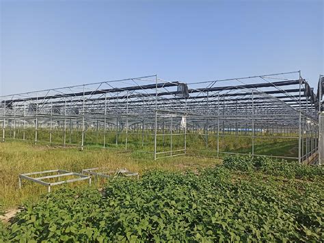 江苏冬晖西瓜蔬菜养殖玻璃温室大棚钢管厂冬晖温室大棚 站酷zcool