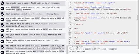 Survey Form Build A Survey Form Html Css The Freecodecamp Forum